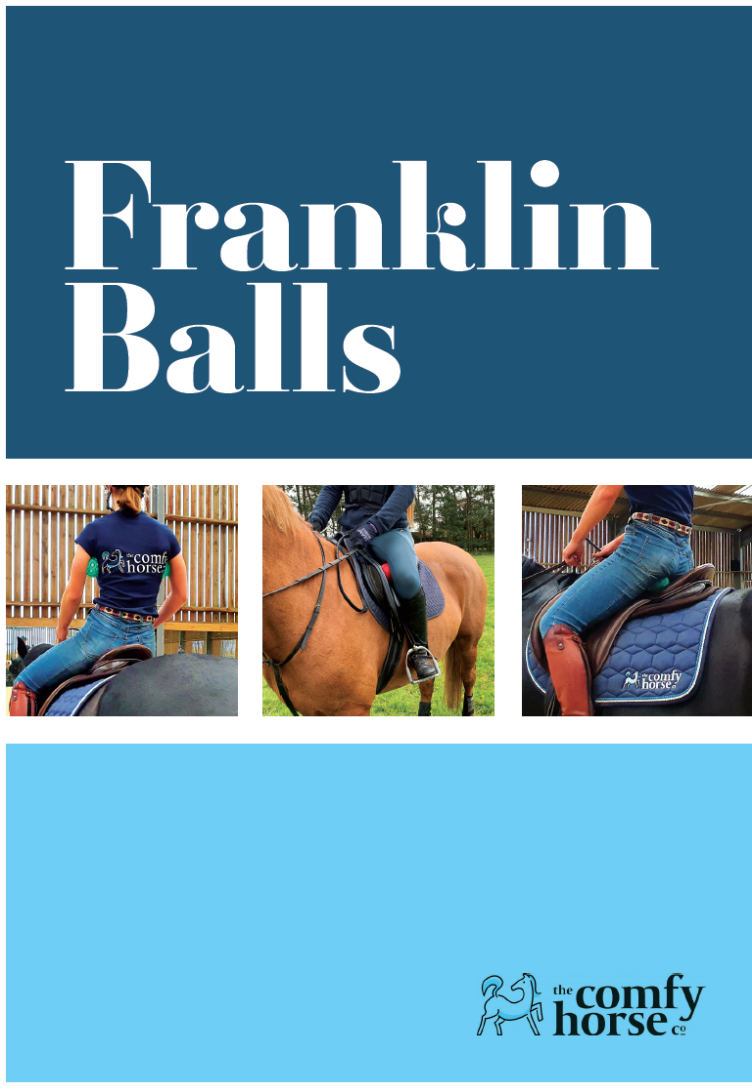 Franklin balls full pilates set - The Comfy Horse Company