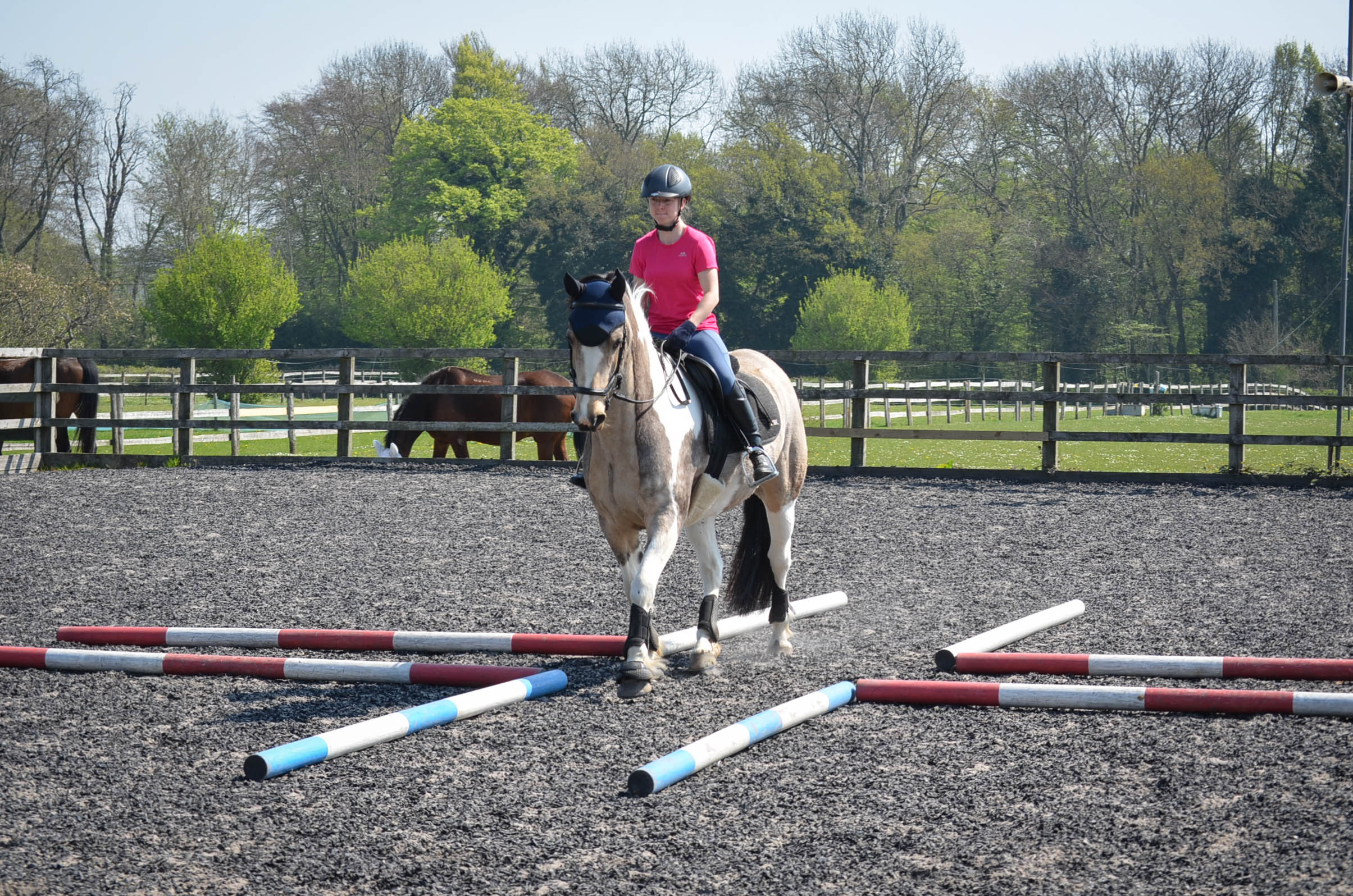 Perfect Partners Polework – Part 3 - The Comfy Horse Company