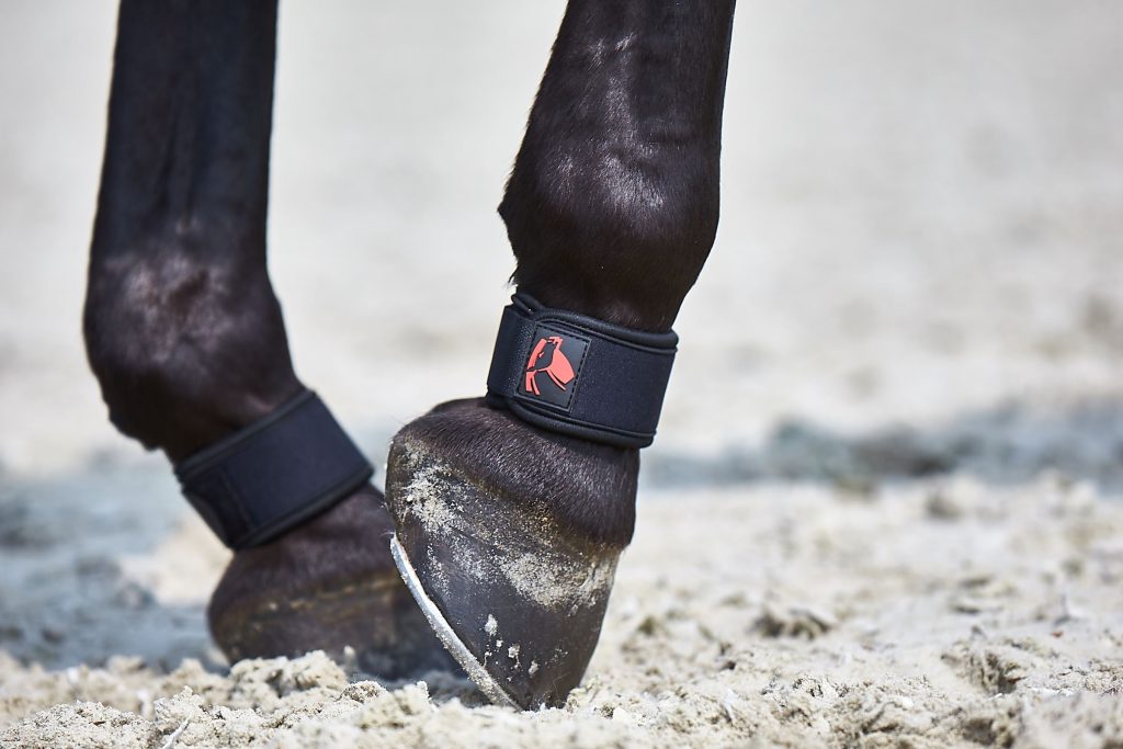 Catago FIR-Tech Healing Pastern Wraps - The Comfy Horse Company