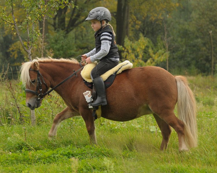 About Christ Lammfelle Bareback Pads - The Comfy Horse Company