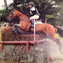 Eventing Essentials - The Comfy Horse Company