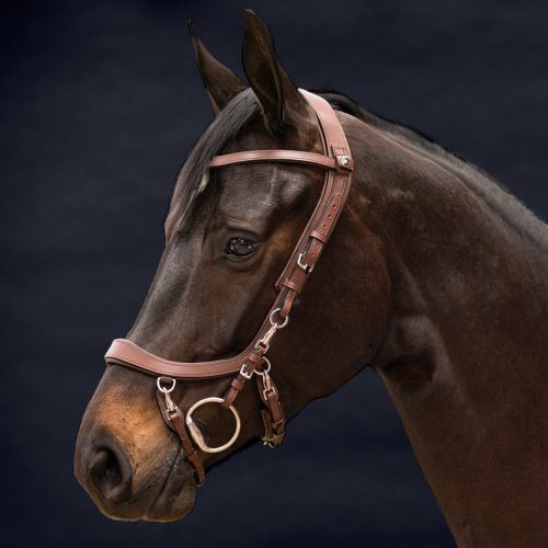 Presteq Faysport Anatomical Bridle - The Comfy Horse Company