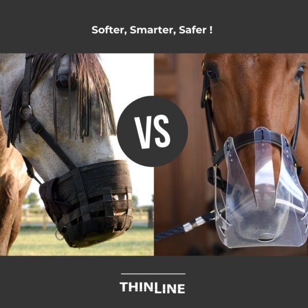 A Guide to Grazing Muzzles! | The Best Horse Grazing Muzzle